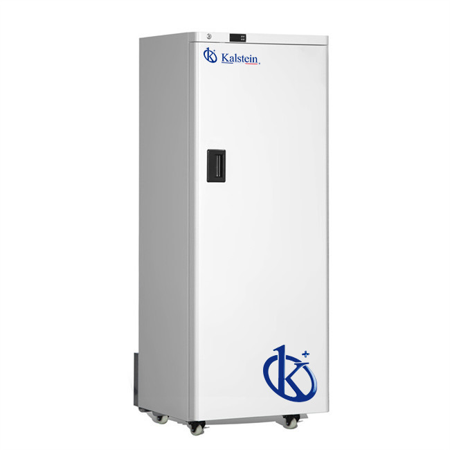 Uncovering the Unique Benefits and Features of Refrigerators and ...