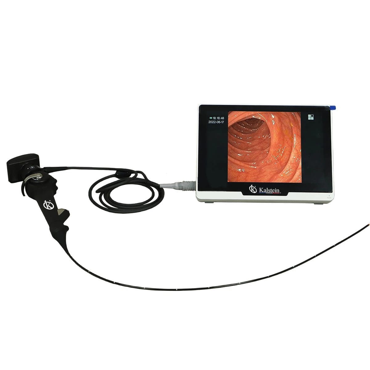 Veterinary Video Endoscope: Detailed Internal Visualization for ...
