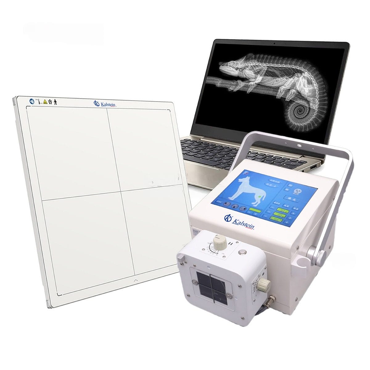 Next-Generation Veterinary Radiography: Ensuring the Best Care for Your ...